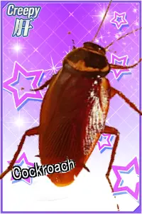 Cockroach -chan - BepisDB