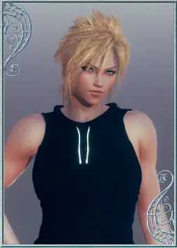 Cloud Strife - BepisDB