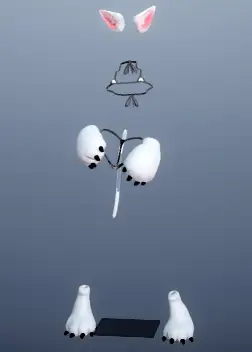 Clothing Card - BepisDB