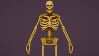 Golden Skeleton Asset - BepisDB